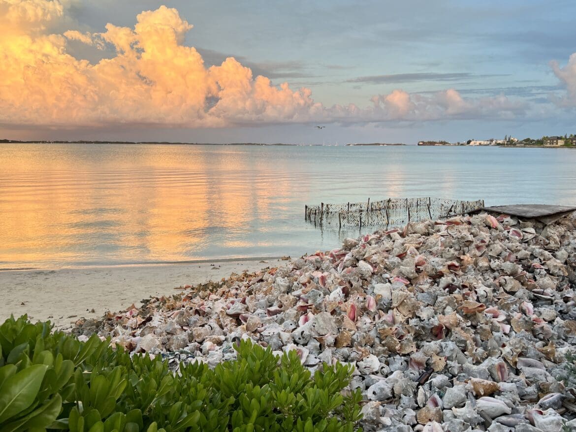 Restaurant Review: Shirley's Seafood Restaurant (Great Exuma) - The ...