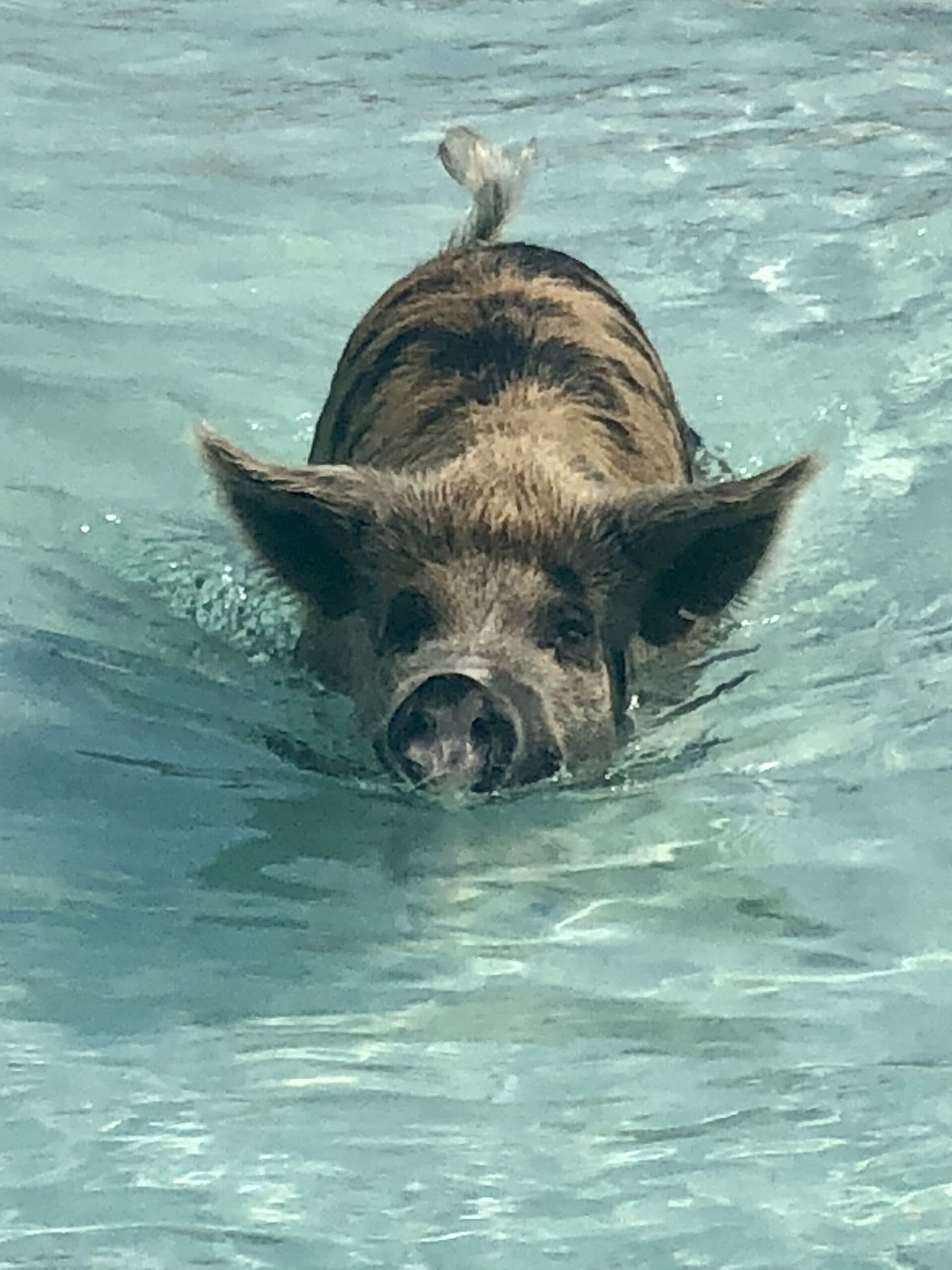 5 Things You Can't Miss: Exuma - The Bulkhead Seat