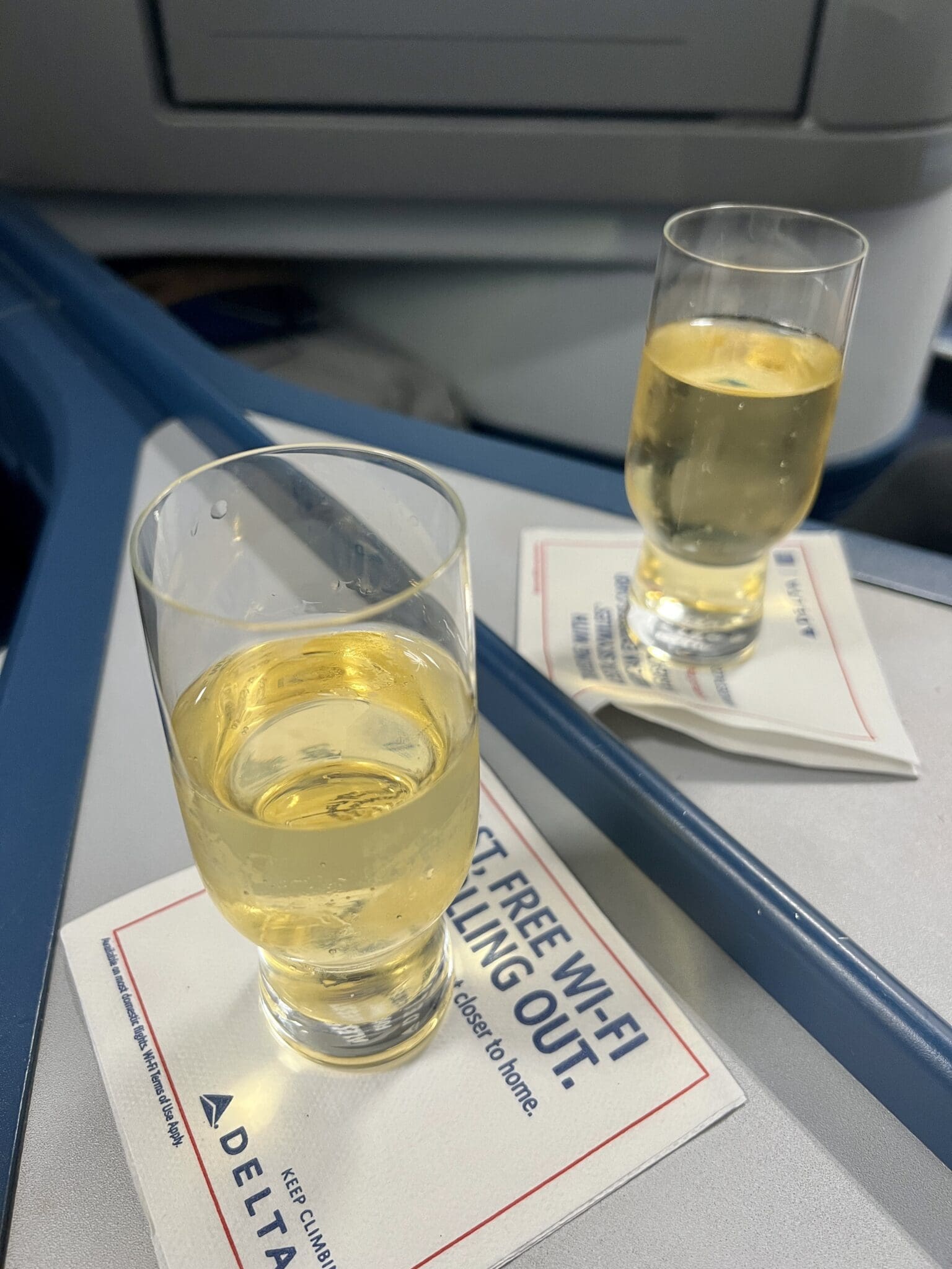 Flight Review: Delta Airlines Airbus A330 Delta One® - MSP-CDG - The ...