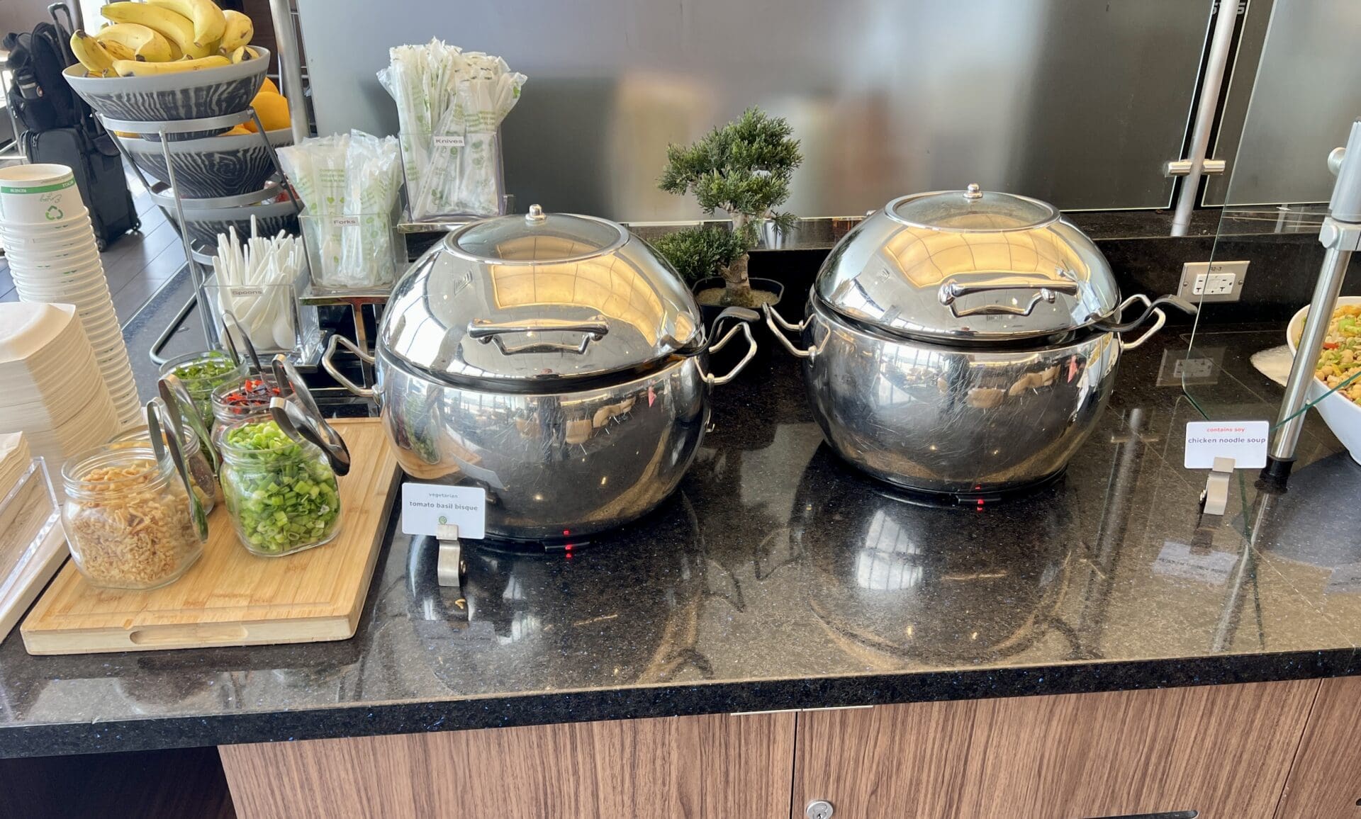 Lounge Review: Delta Sky Club® (EWR - Gates B40 to B47) (CLOSED) - The ...