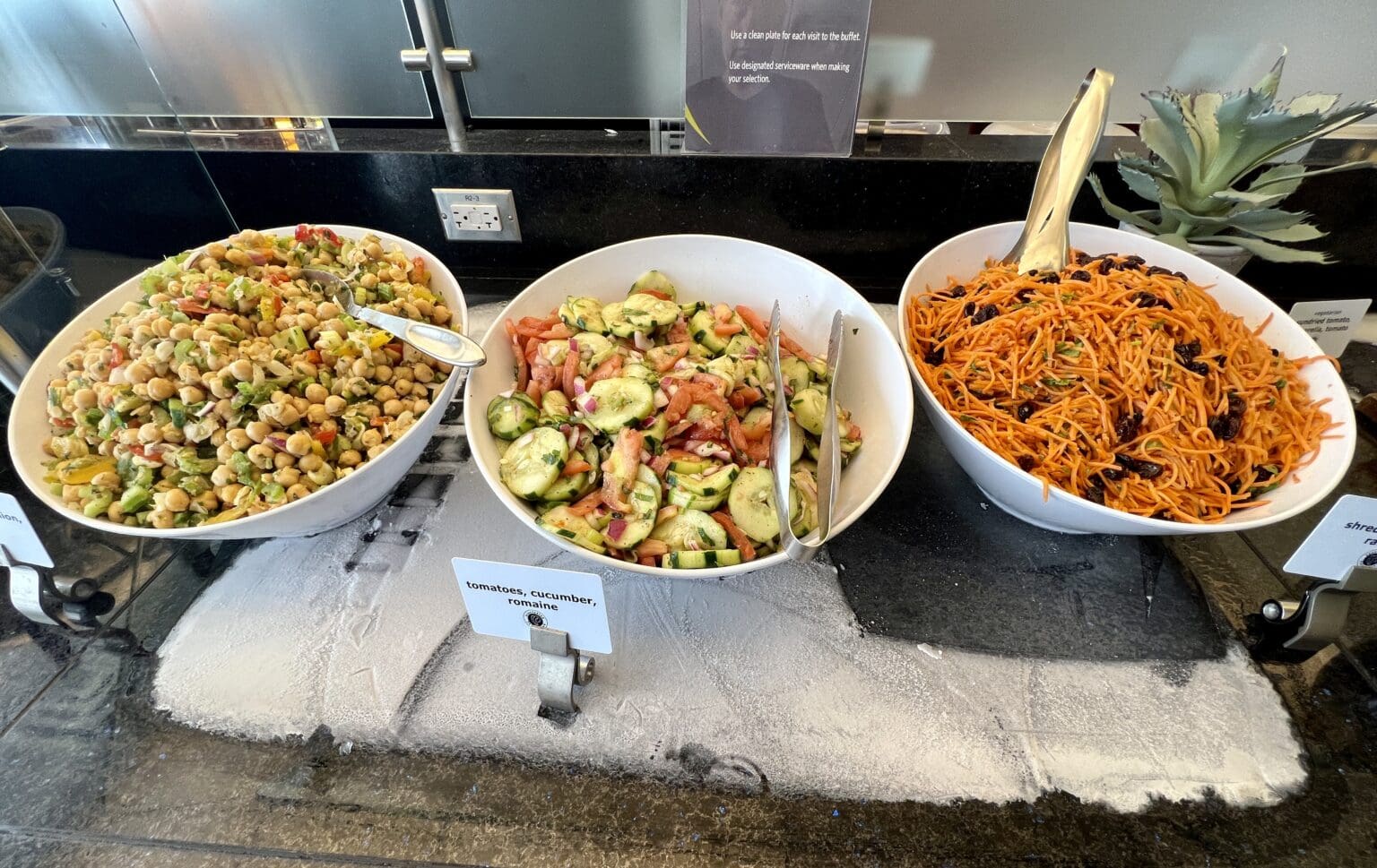 Lounge Review: Delta Sky Club® (EWR - Gates B40 to B47) (CLOSED) - The ...