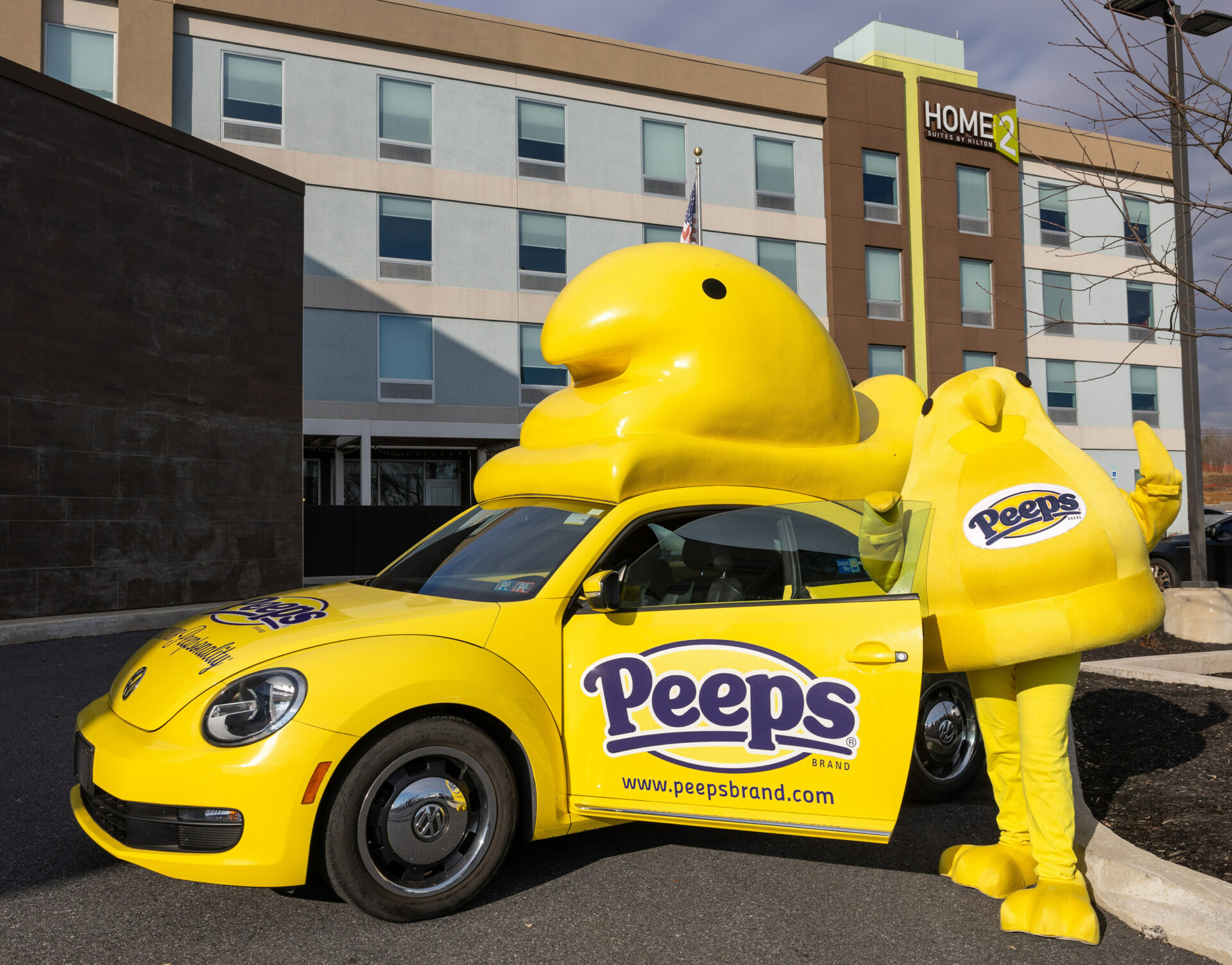 Home2 Suites by Hilton Offers the First-Ever PEEPS® Sweet Suite - The ...