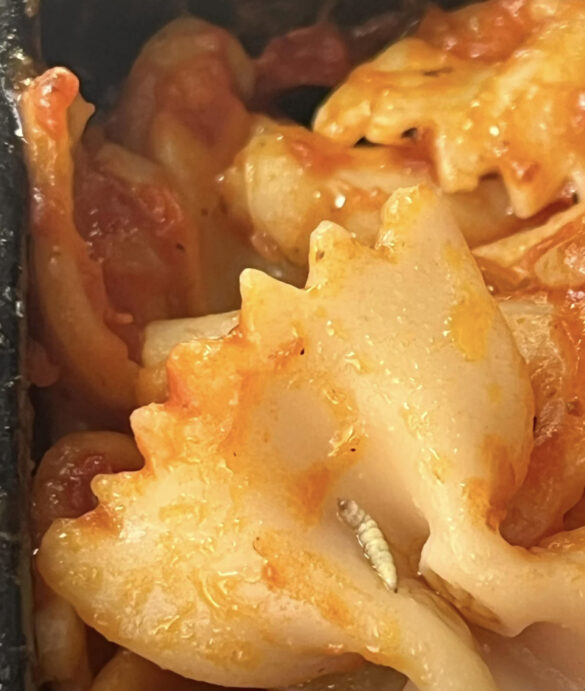 Disgusting: United Passenger Finds Maggot in Pasta - The Bulkhead Seat