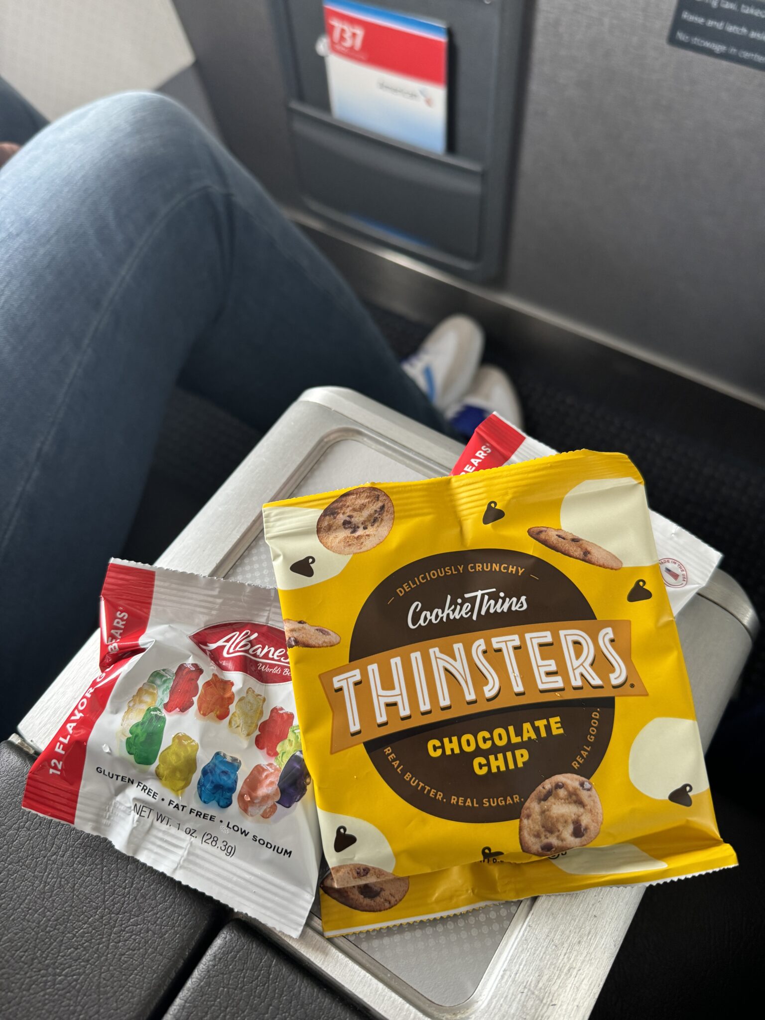 Flight Review: American Airlines Boeing 737 First Class - ORD-EWR - The ...