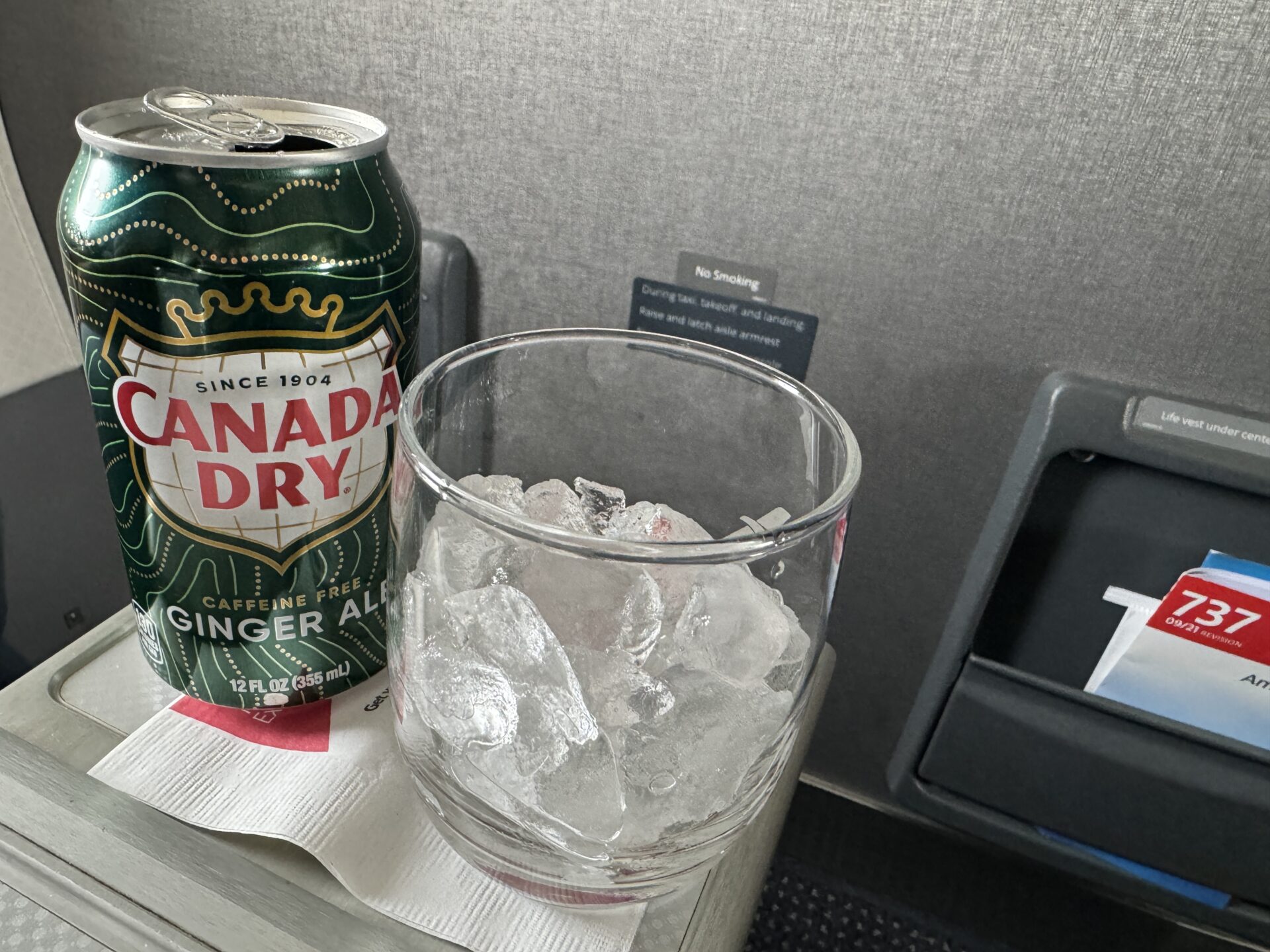 Flight Review: American Airlines Boeing 737 First Class - ORD-EWR - The ...
