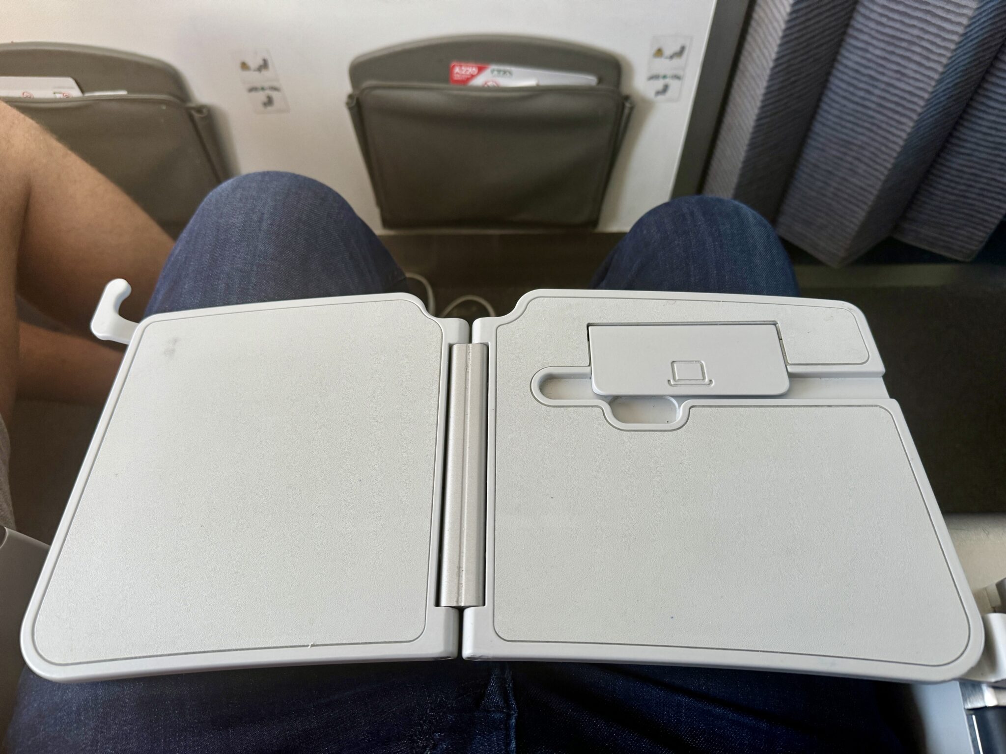 Flight Review: ITA Airways Airbus A220 Business Class - FCO-FRA - The ...