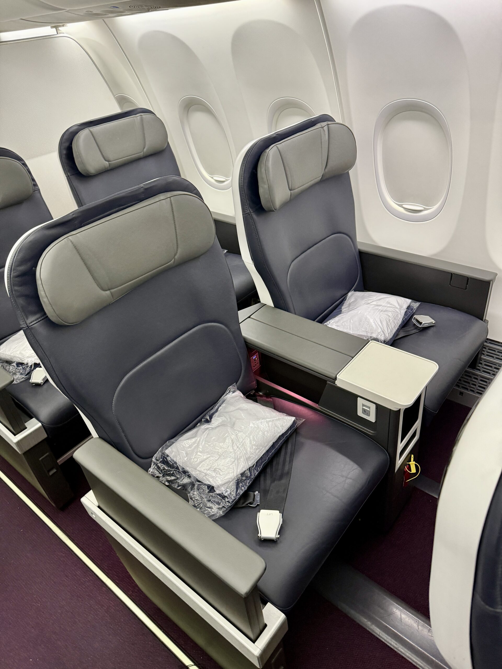 Flight Review: Aeromexico Boeing 737 MAX 8 Clase Premier - TPA-MEX ...