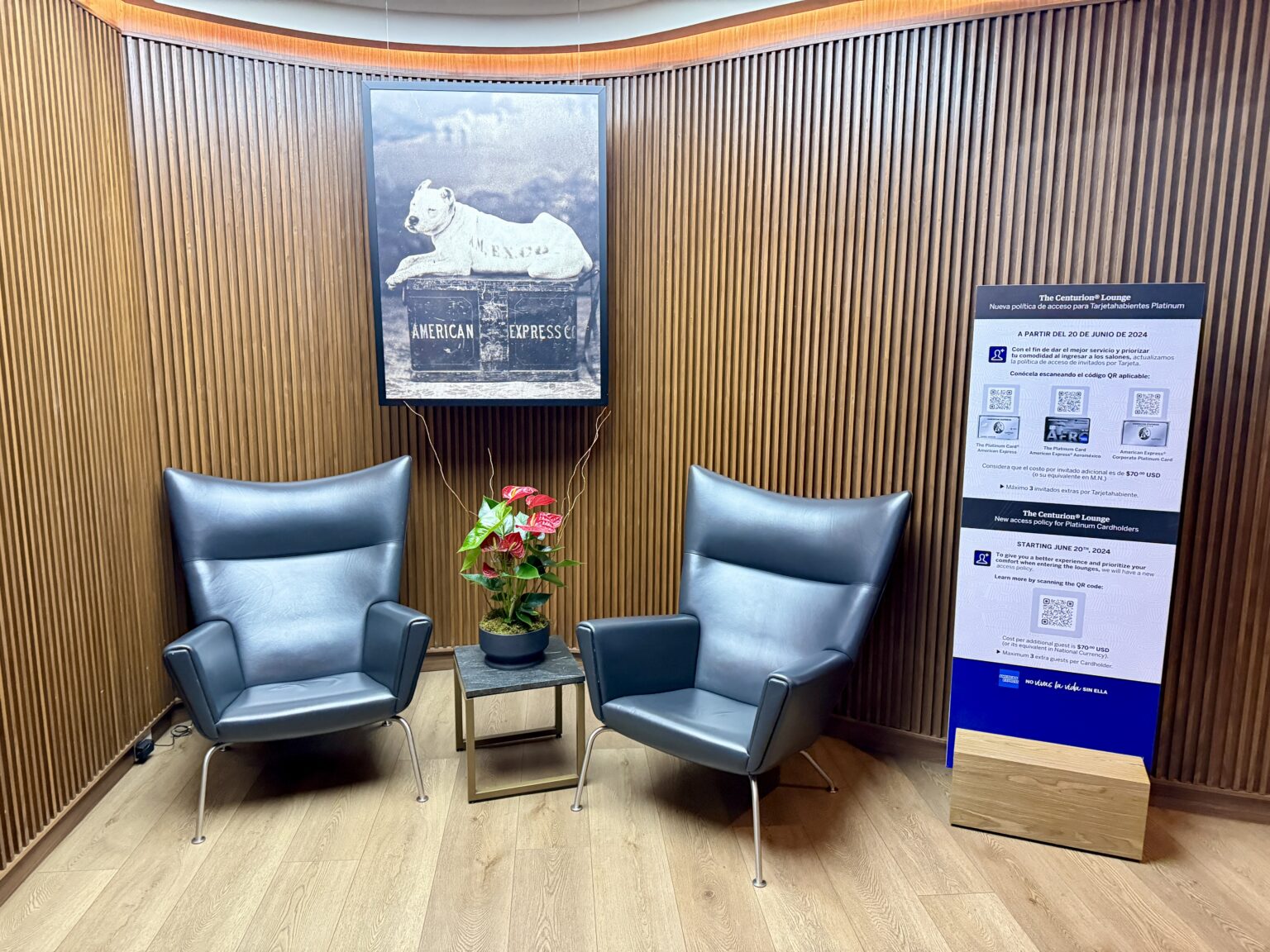 2025 in Review: My Top 10 Airport Lounges - The Bulkhead Seat