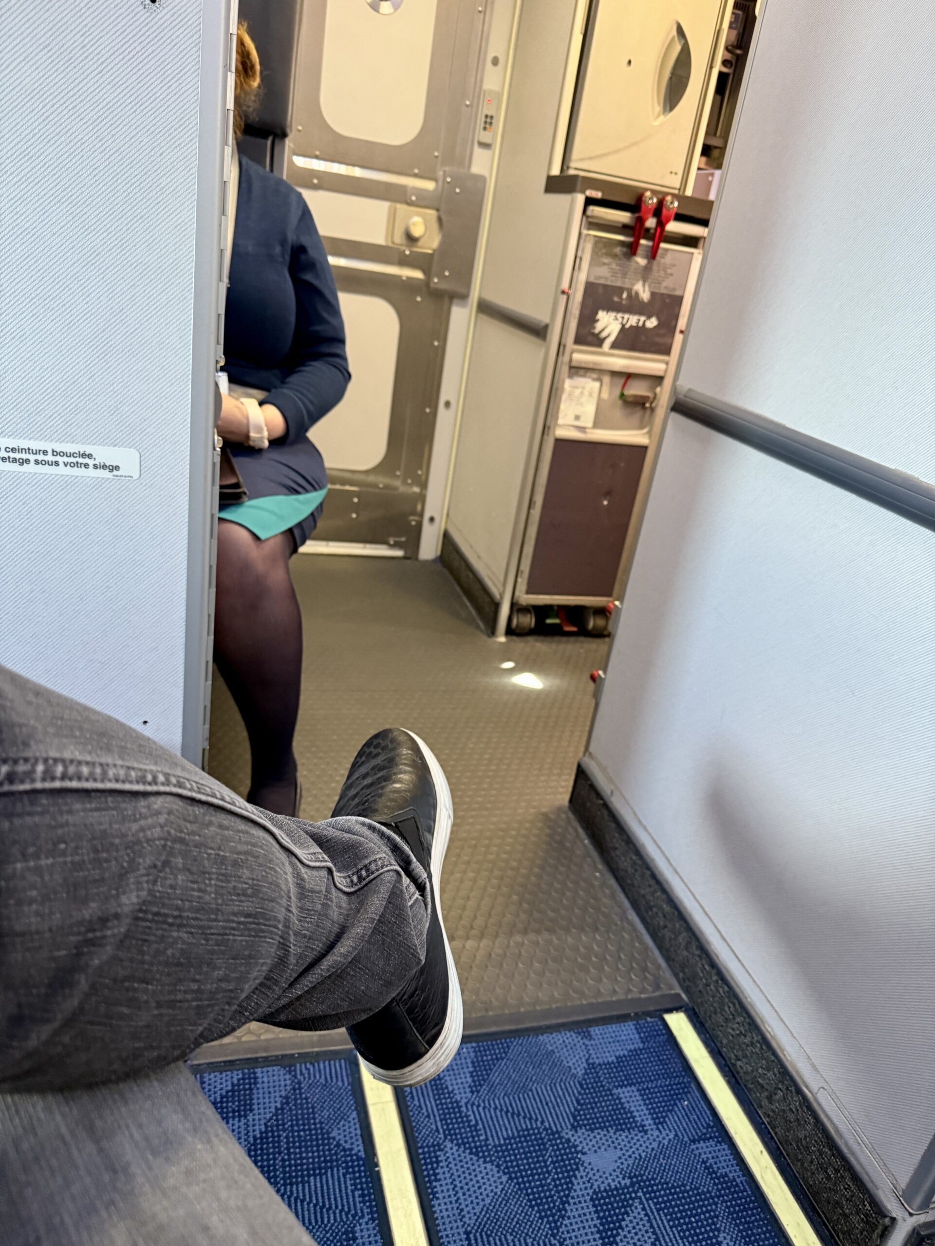 Flight Review: WestJet Boeing 737-8 MAX Premium Economy – TPA-YYZ - The Bulkhead Seat