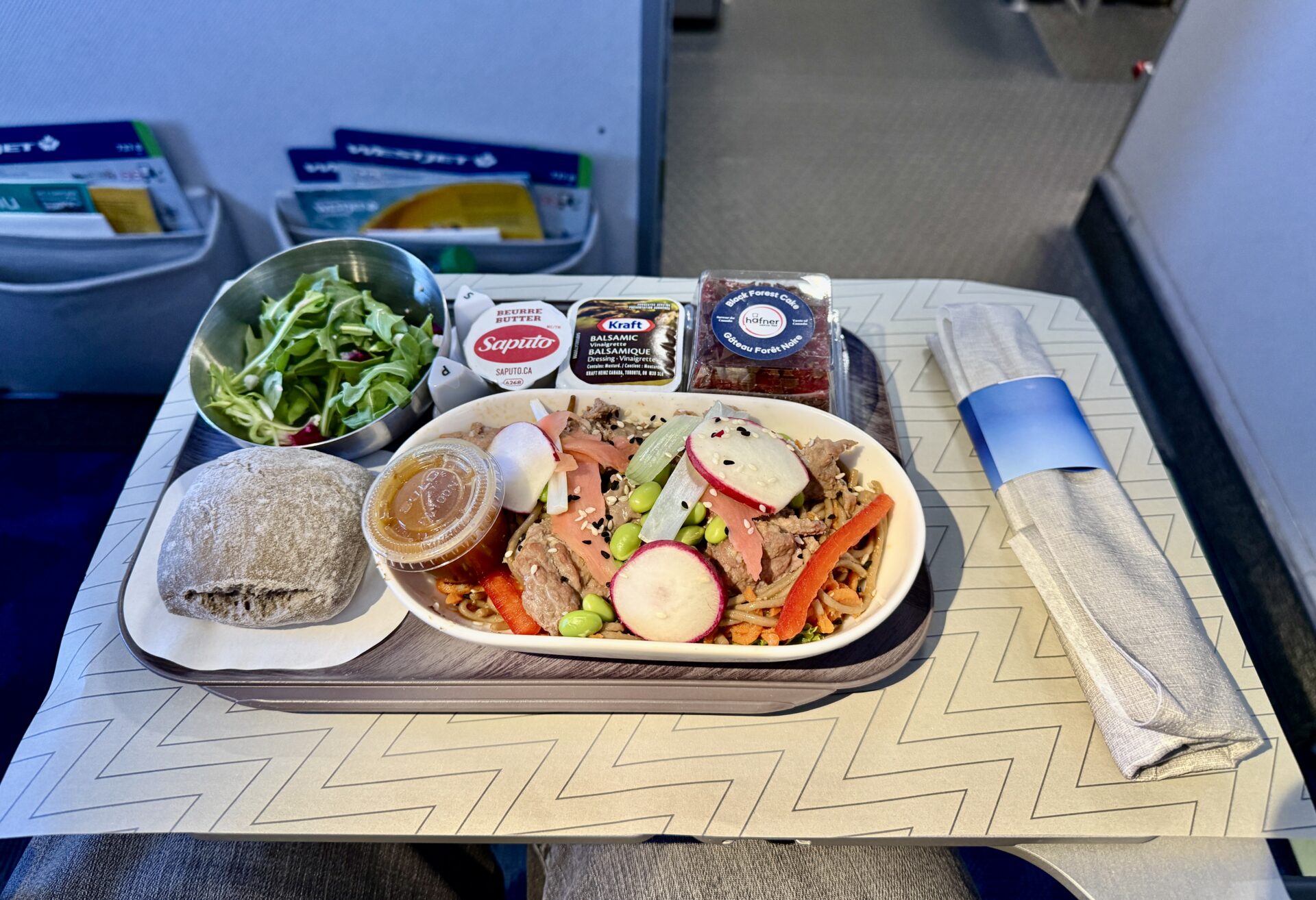Flight Review: WestJet Boeing 737-8 MAX Premium Economy – TPA-YYZ - The ...