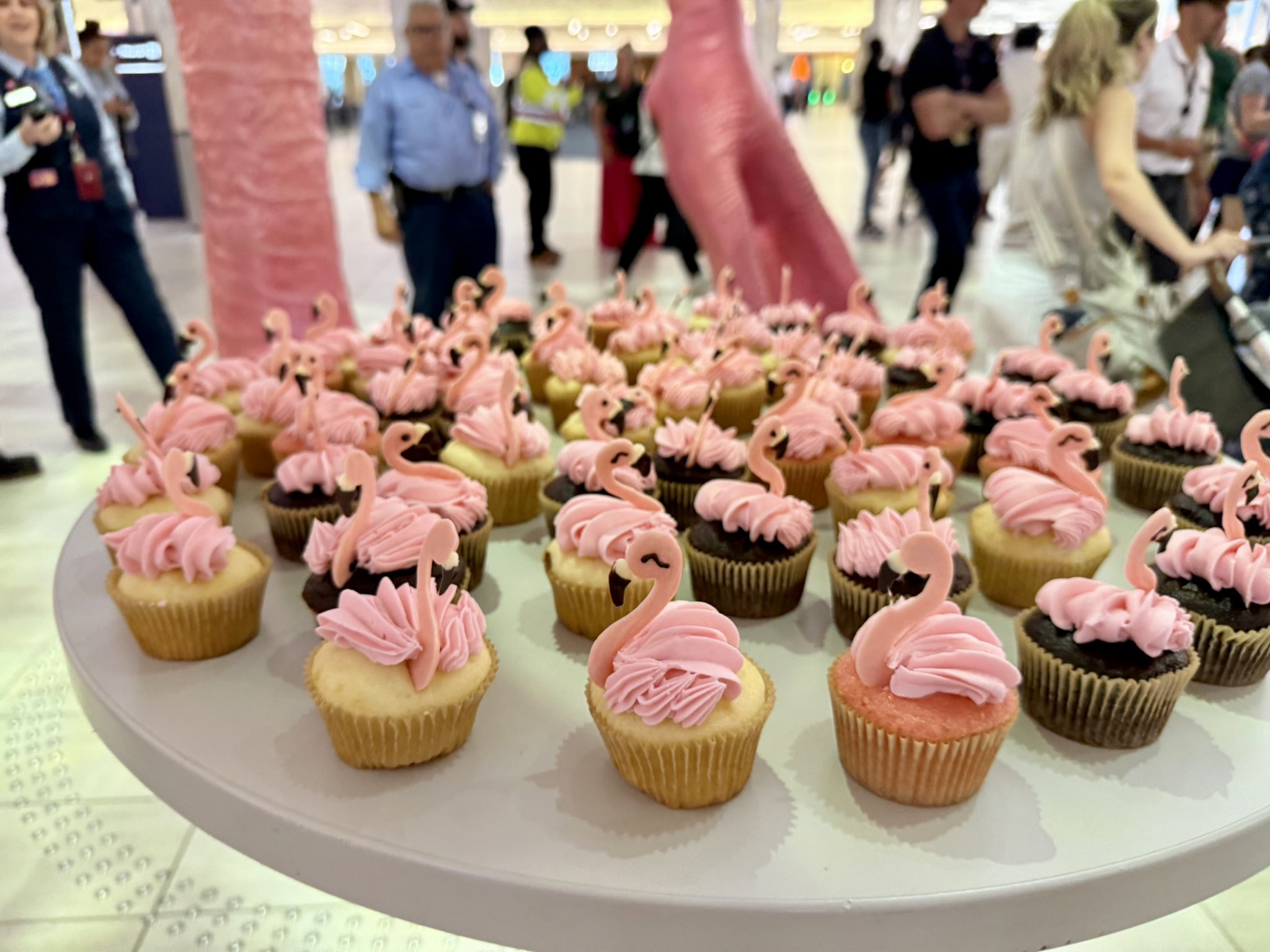 Tampa International Airport Celebrates International Flamingo Day - The ...