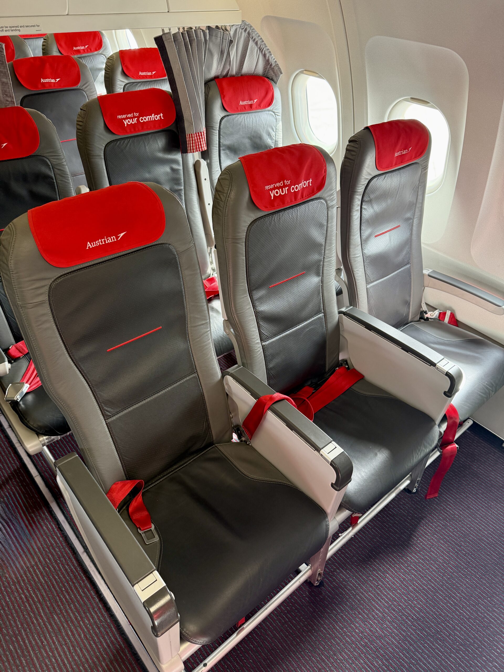Flight Review: Austrian Airlines Airbus A320 Business Class – TGD-VIE ...