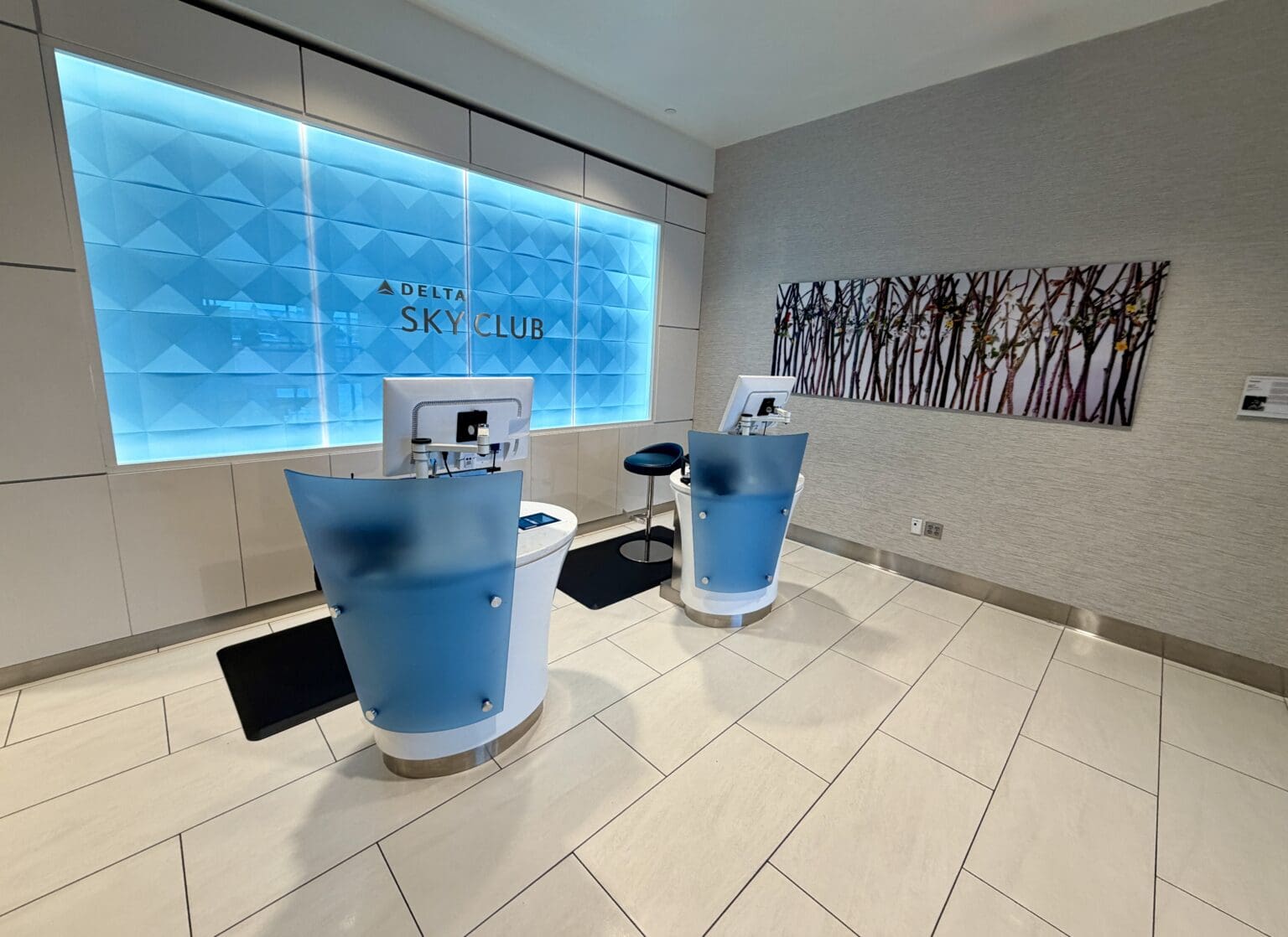 Lounge Review: Delta Sky Club® (DFW Gates – E10 and E11) - The Bulkhead ...