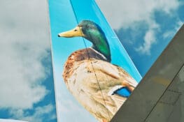 First Look: Trying Out Spirit's New First Class In Its Go Big Bundle ...