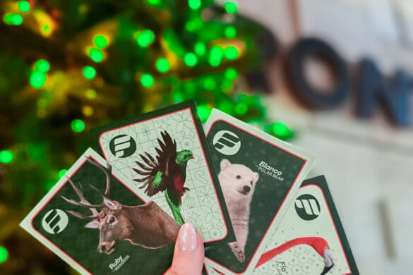 American Airlines Adds TSA PreCheck® Touchless ID for AAdvantage ...