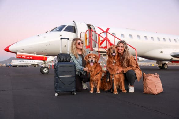 JSX Partners With Petco to Launch VIP Pet Travel Program With Pet ...