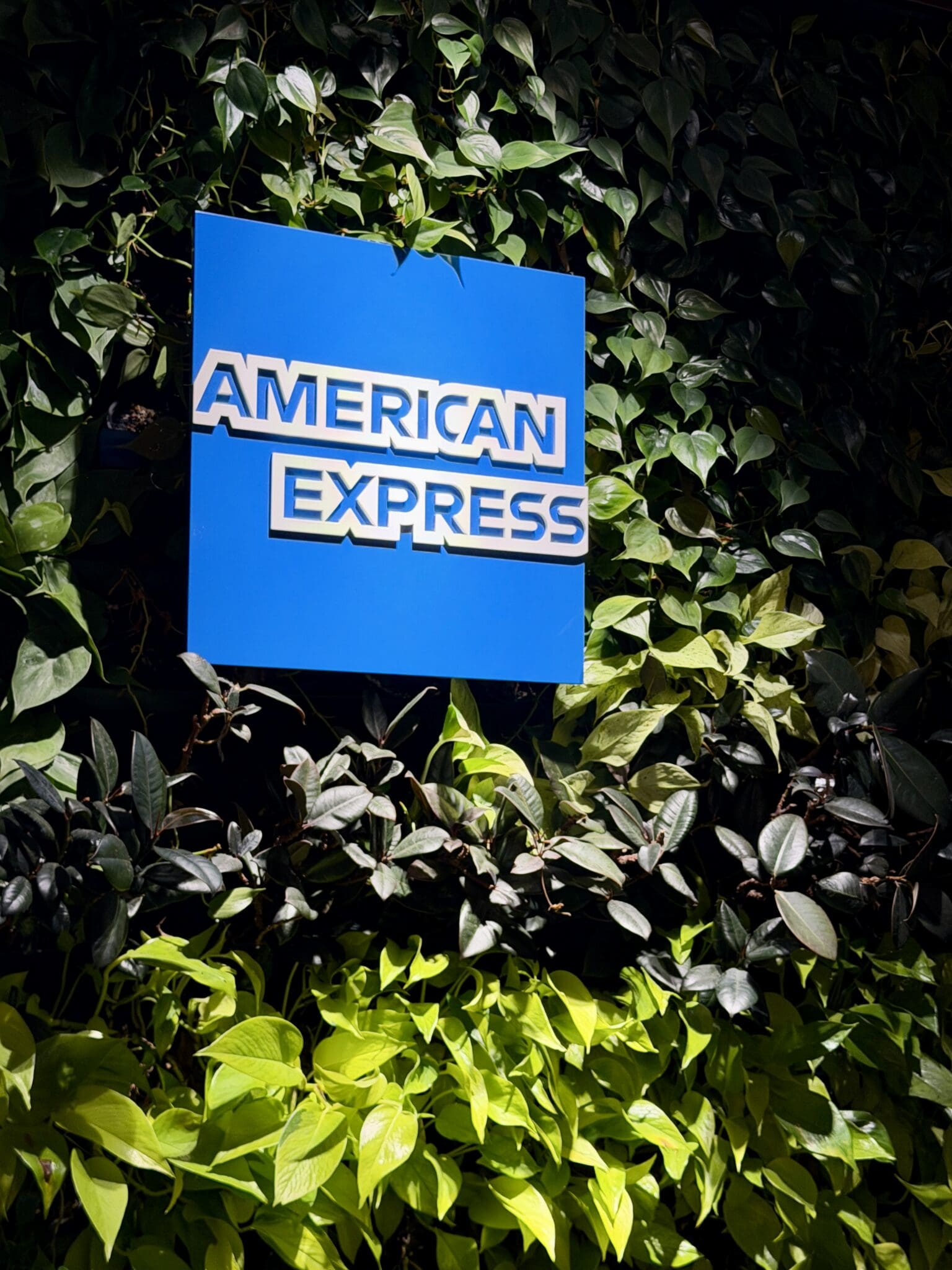 American Express to Open New Centurion Lounge at Amsterdam Schiphol ...